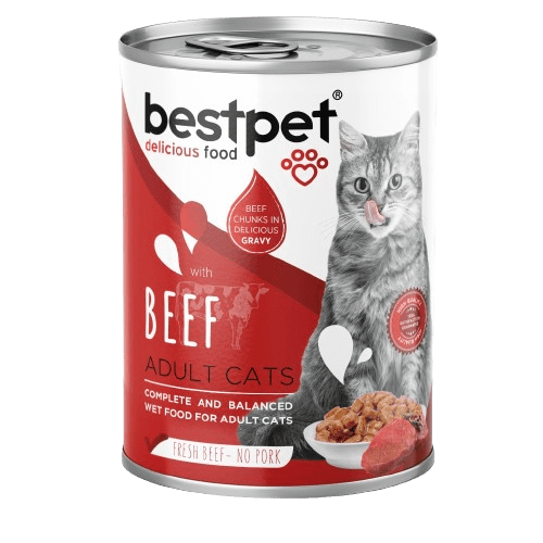 Bestpet Cat With Beef – 5 Amazing Reasons To Buy Online Now