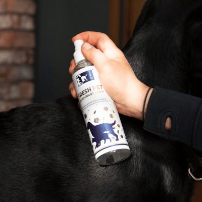 Fresh Pet Deodorant Spray: 5 Powerful Benefits For Lasting Freshness
